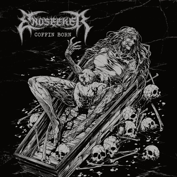 Coffin Born by Endseeker (2026) - Tracklist & Release Date